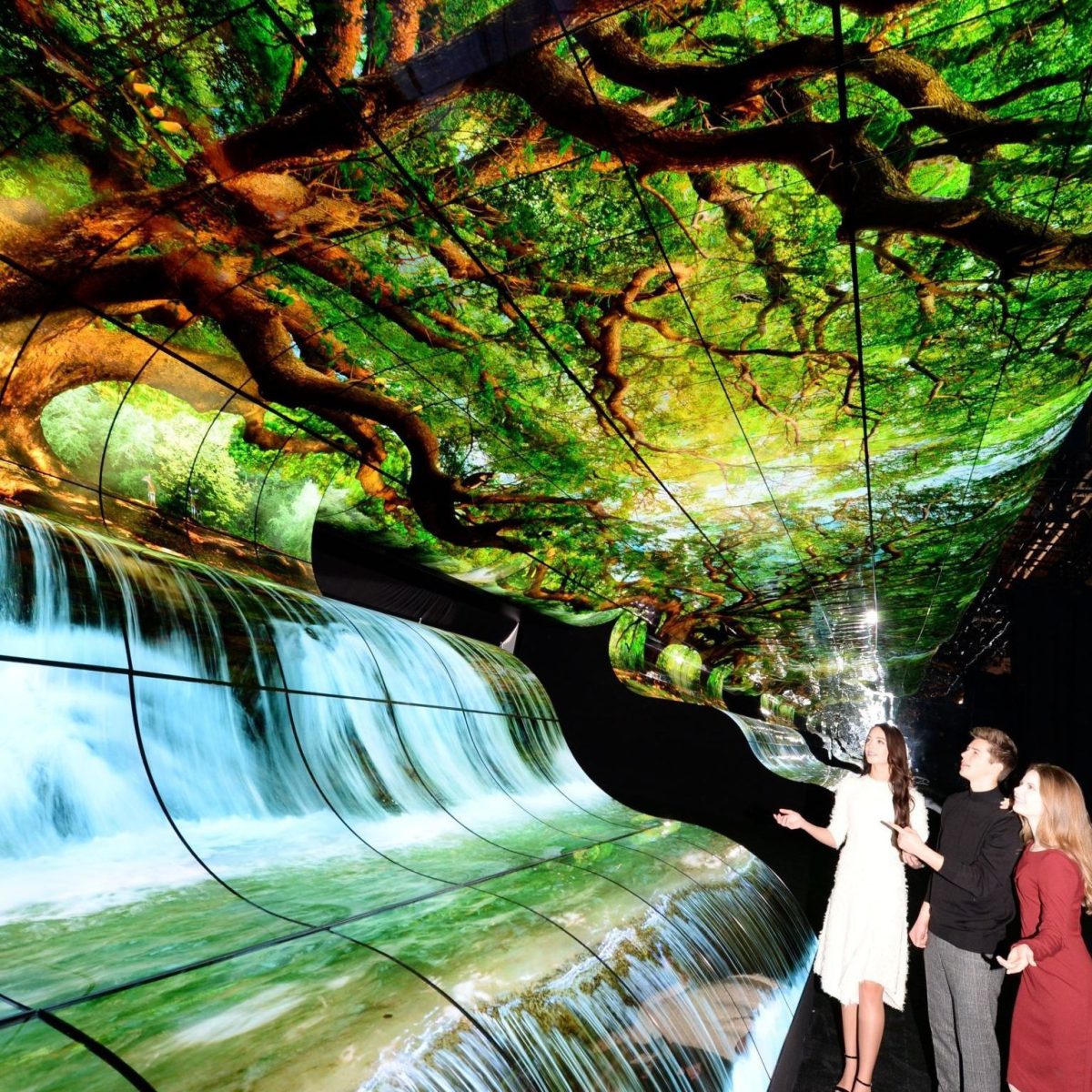 Bending Screens | Brent Turner